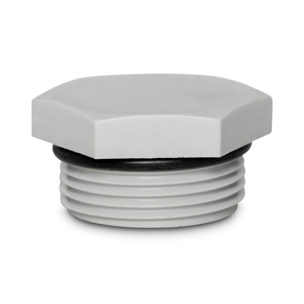 Blind Plug Nylon M25 Hexagon Head Light Grey | Alco